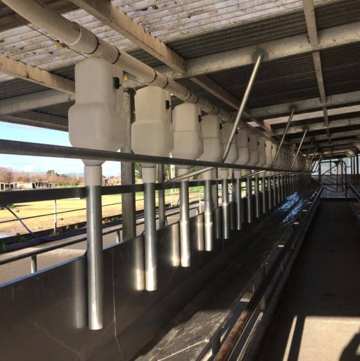 Herringbone Feed System - Central Silo Systems