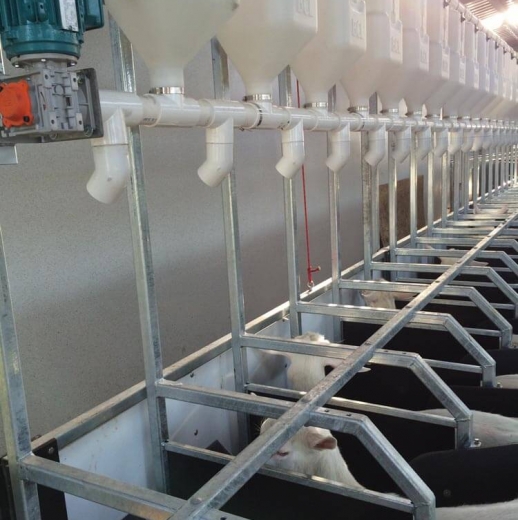 Goat & Sheep Feed Systems - Central Silo Systems